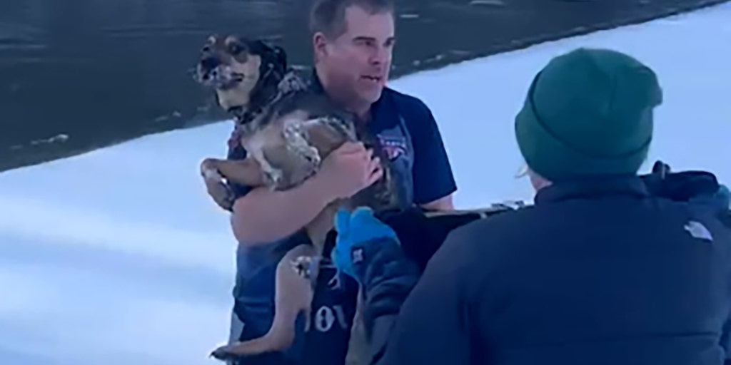 VIDEO: Vermont man jumps into icy river to save struggling dog from certain death | Fox Weather