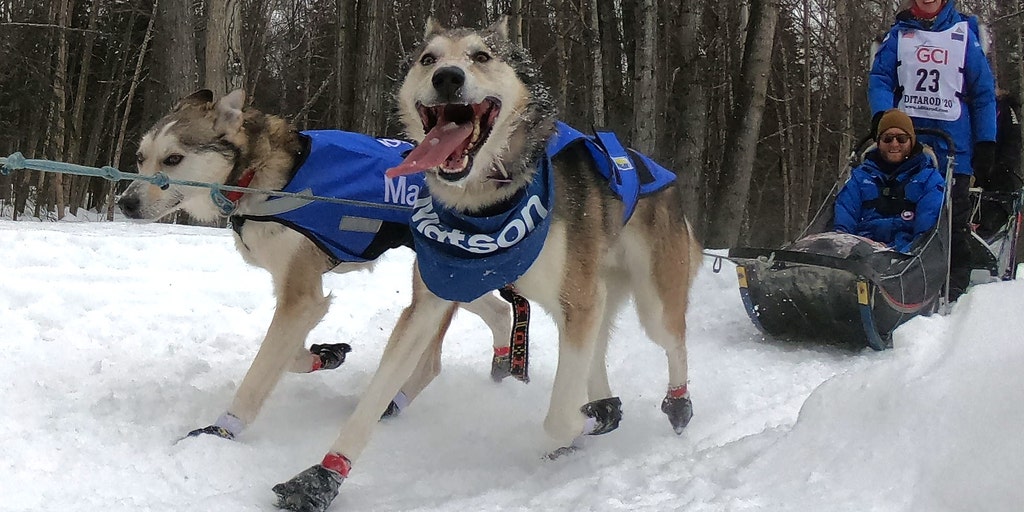 The 2025 Iditarod race will change starting locations due to lack of ...