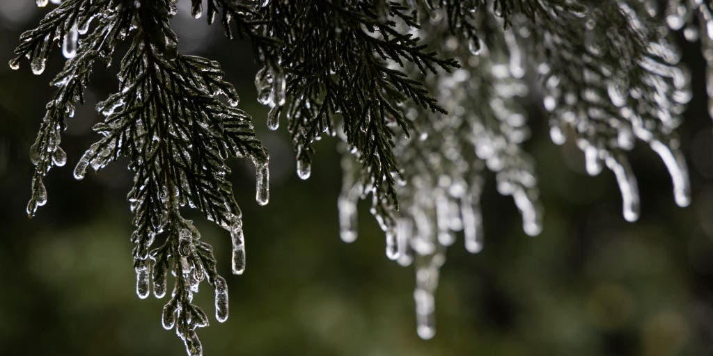 Ice storms: What are they and why are they dangerous? | Fox Weather