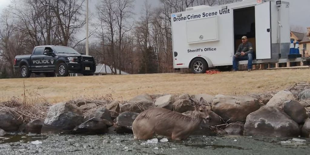 VIDEO: Deer fall through frozen Wisconsin lake, prompting rescue ...