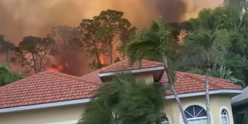 Florida wildfires: Dozens of active blazes reported around the Sunshine ...