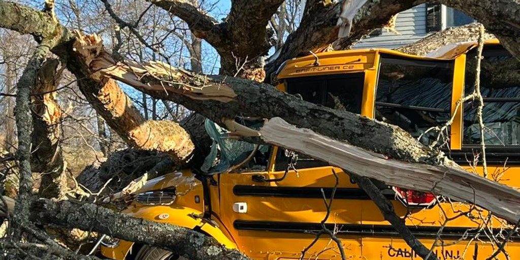 11 injured as tree falls onto school bus in New Jersey | Fox Weather