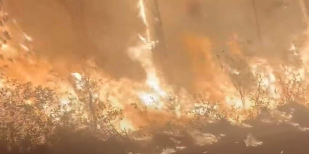 VIDEO: Myrtle Beach residents dodge flames while fleeing wildfire | Fox Weather