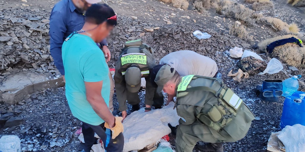 Officials uncover 210 million-year-old fossil in Argentina | Fox Weather