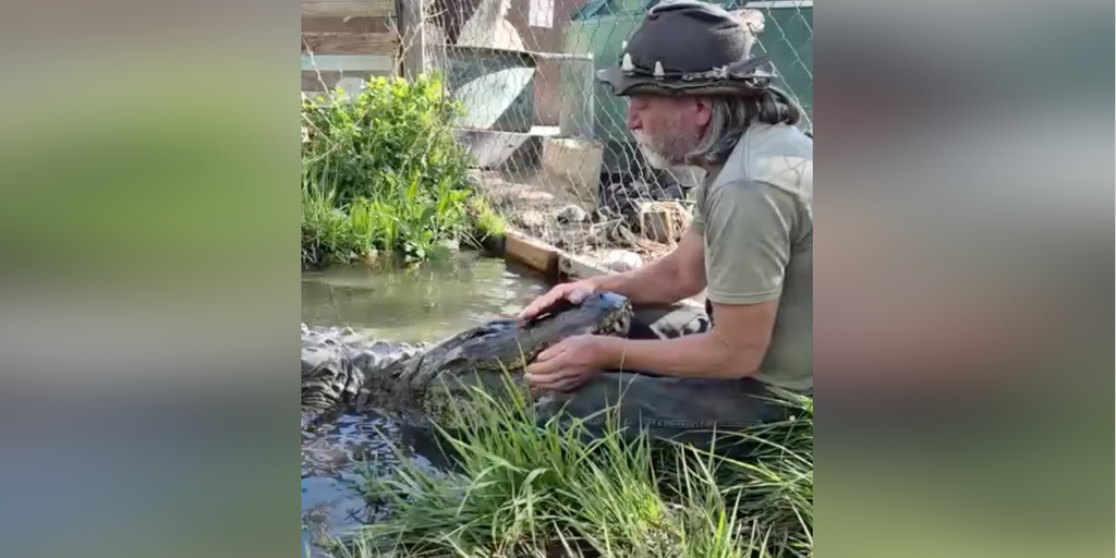 VIDEO: Morris, gator in Hollywood blockbusters, passes away of old age ...