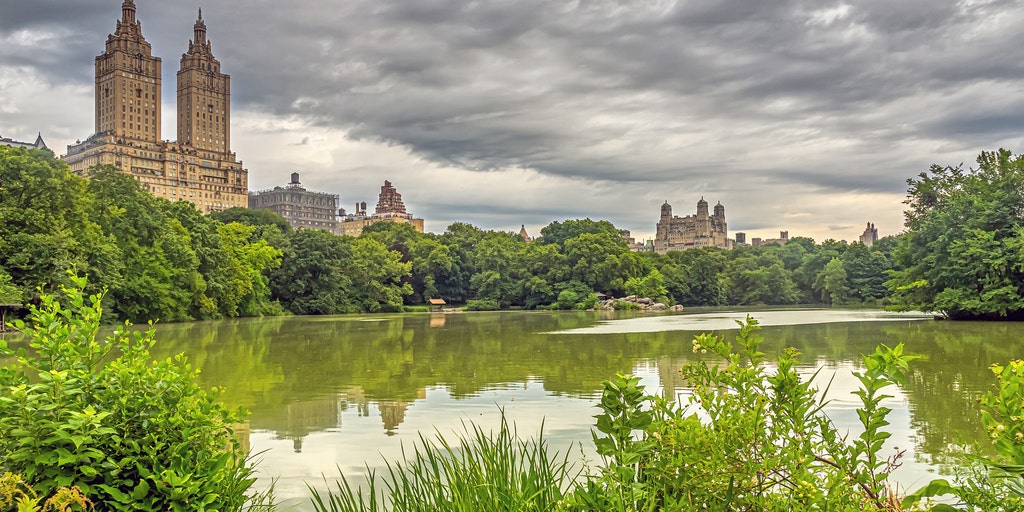 Lightning strike injures visitor in New York City’s Central Park | Fox ...