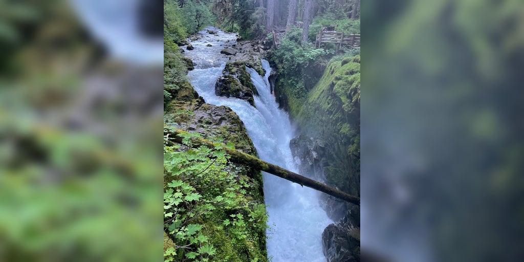 Sol Duc Falls temporarily closed after an 18-year-old man fell from a ...