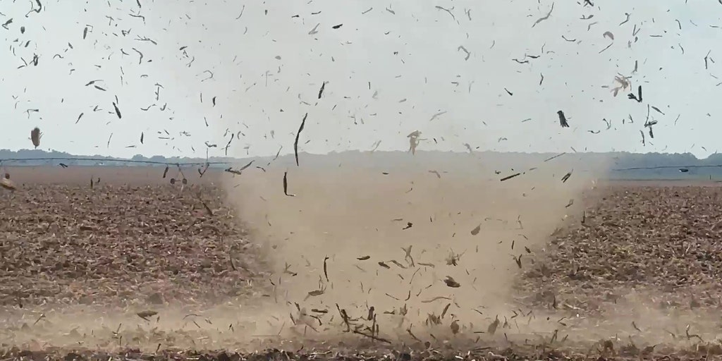 Dust devil creates 'cornado' across Mississippi field | Fox Weather