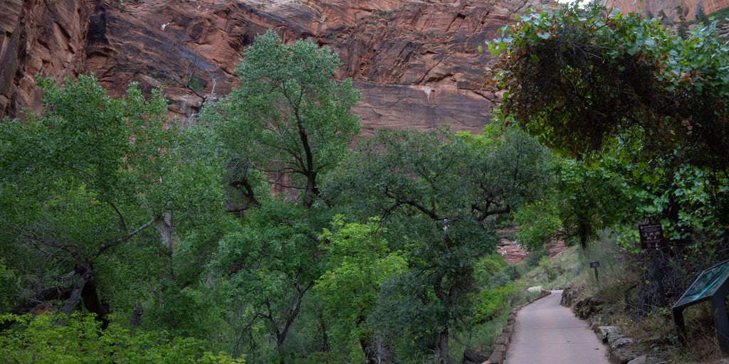 Zion National Park reopens popular trail nearly 2 years after damaging ...