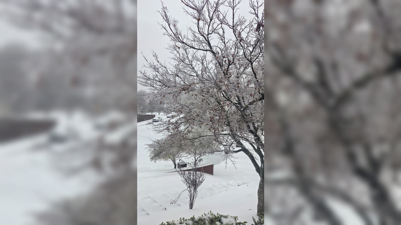 Mississippi paralyzed by large-scale power outages, life-threatening ...