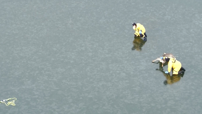 VIDEO: Injured deer rescued from frozen reservoir in Colorado Springs ...