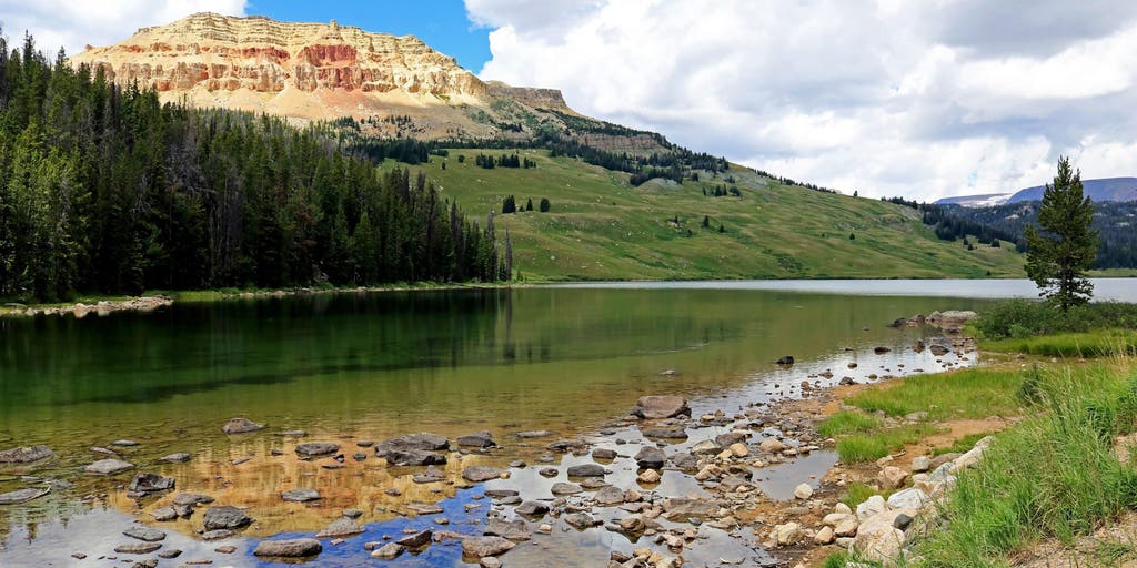 Top 10 national forests to visit this summer | Fox Weather